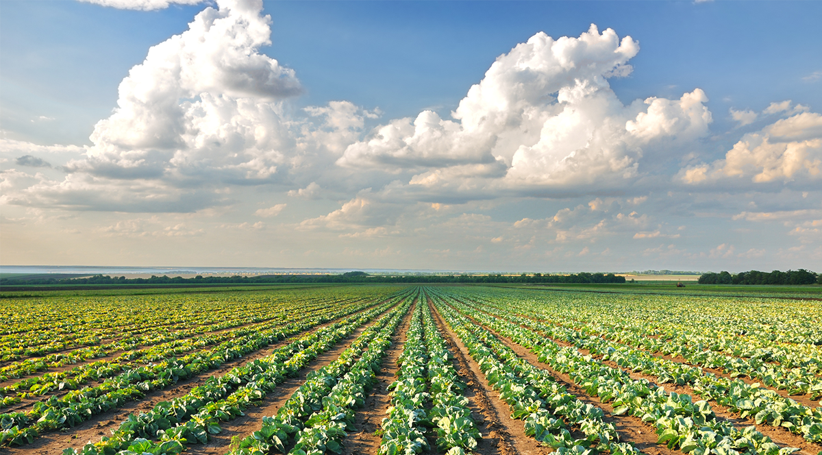 INO | Case Study - Univerco