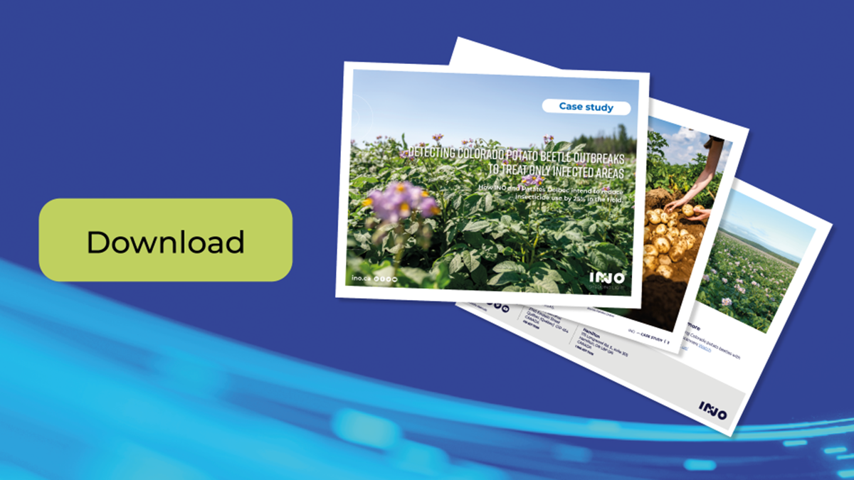 INO| Case study – Patates Dolbec