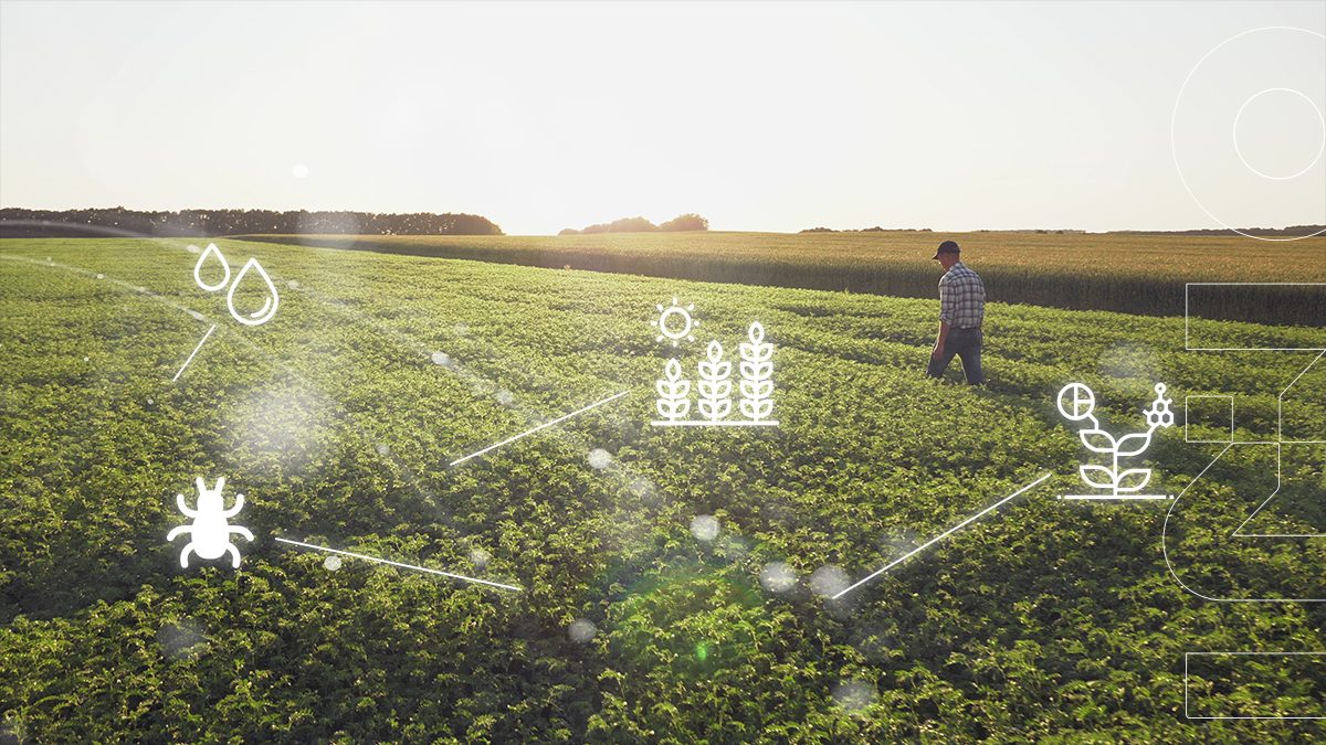The Main Optical Sensors Used in Agriculture | INO
